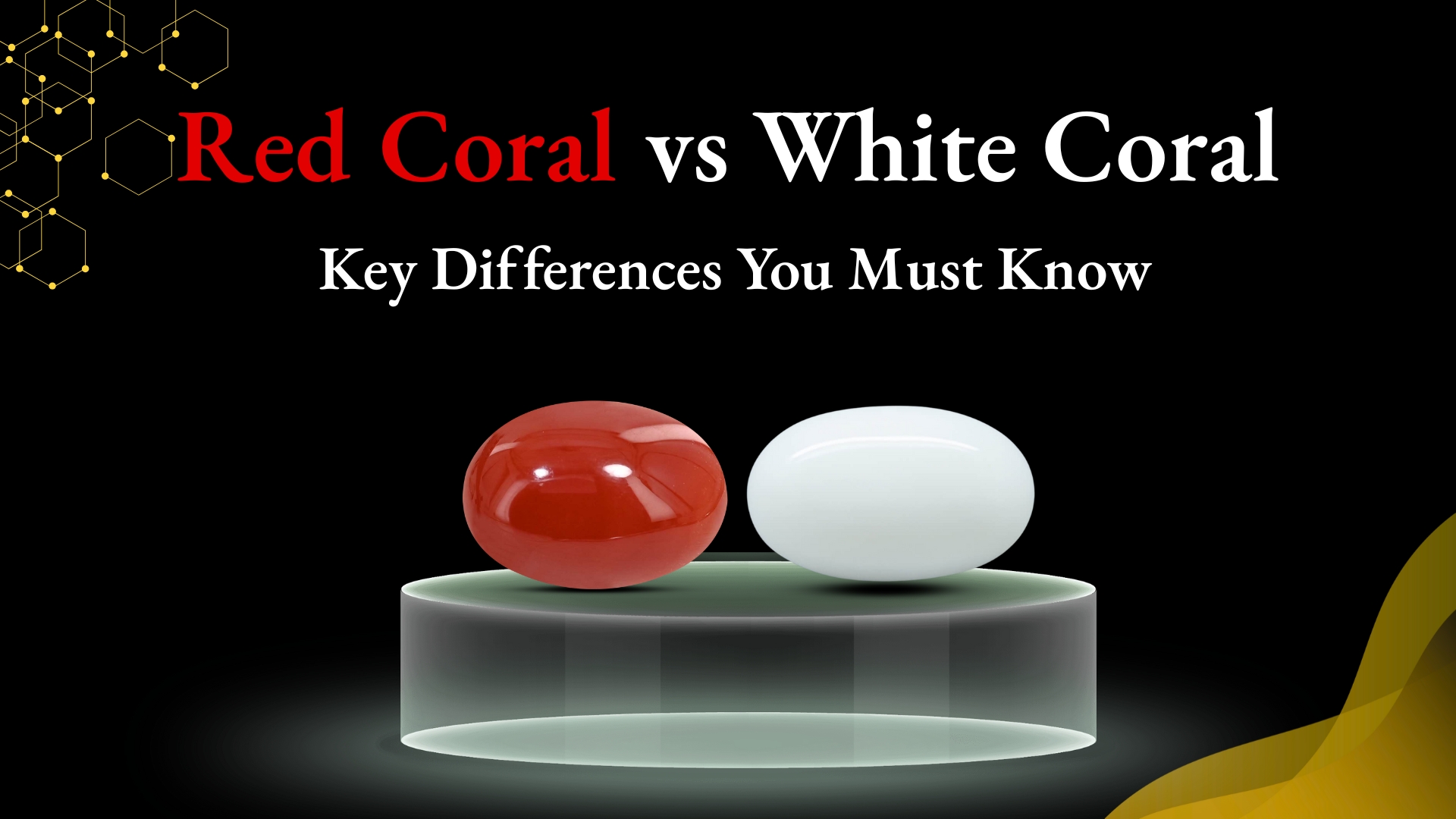 Red Coral vs White Coral – Key Differences Explained