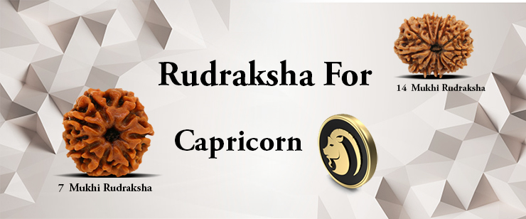 Astrological Guidance: Choosing the Right Rudraksha Based on Your ...