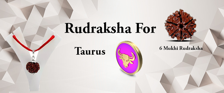 Astrological Guidance: Choosing the Right Rudraksha Based on Your ...