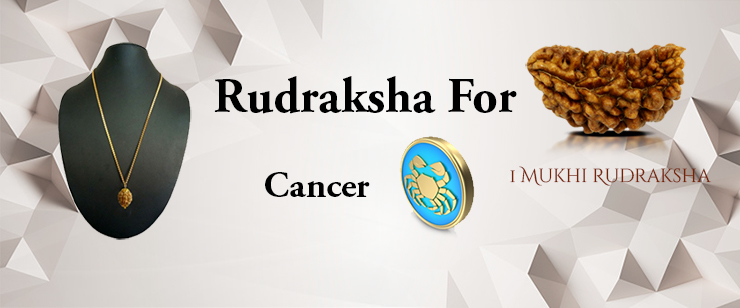 Astrological Guidance: Choosing the Right Rudraksha Based on Your ...