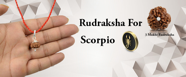 Astrological Guidance: Choosing the Right Rudraksha Based on Your ...